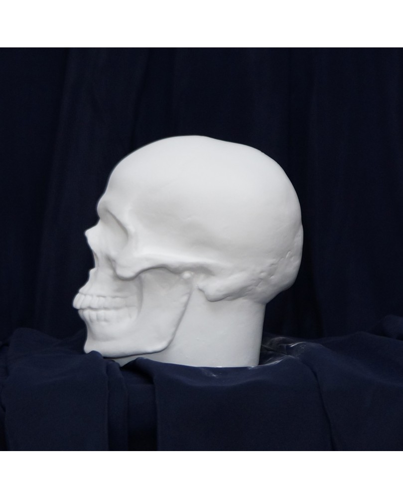 Gipsinė figūra Kaukolė