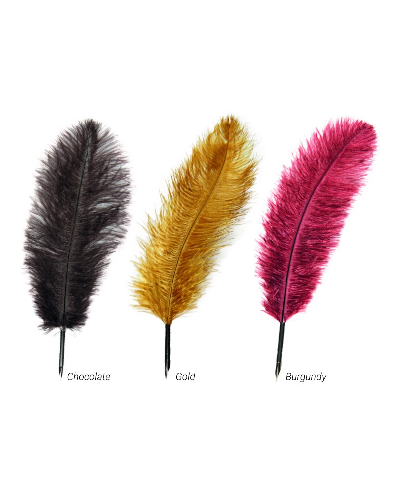 Kaligrafinė plunksna Manuscript Decorative Quill Pen, įv. spalvų